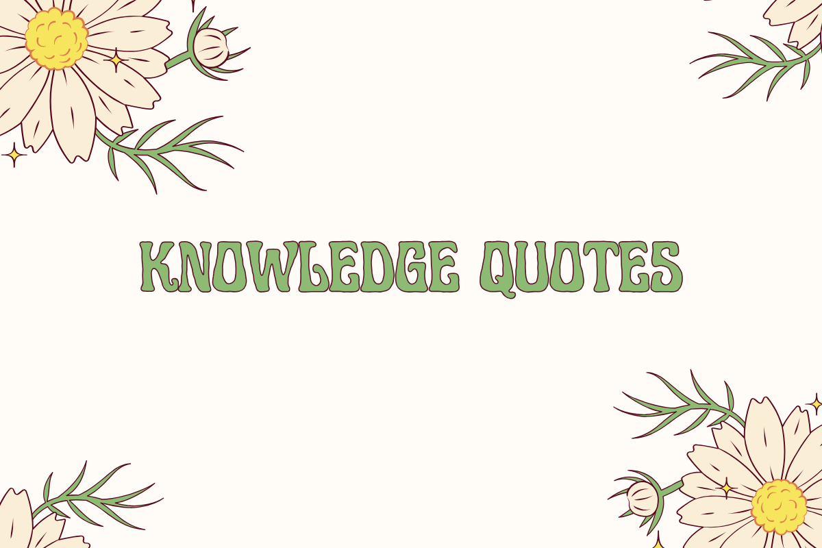 Inspiring Knowledge Quotes to Enlighten Your Mind – Hello Swanky Online ...